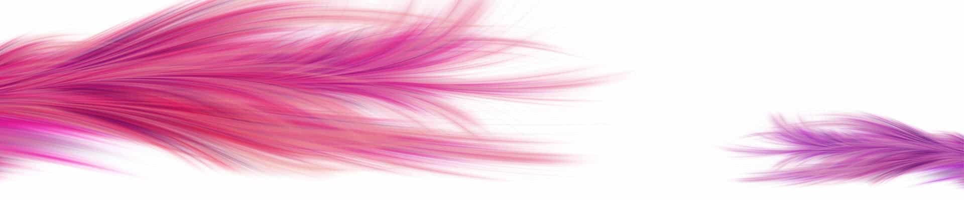 beautiful-pink-feather-desktop-background-hd-wallpaper-widescreen ...